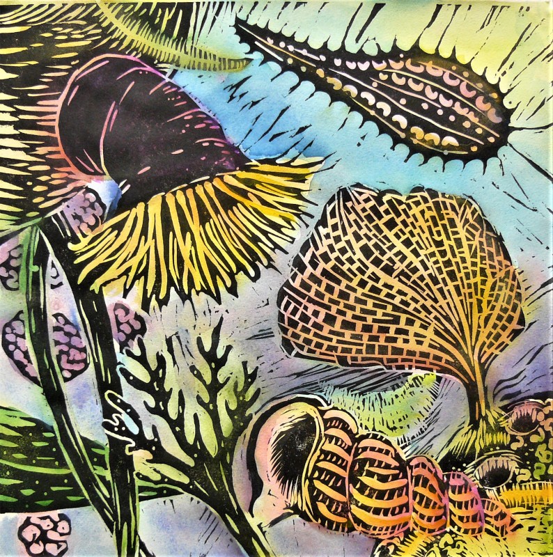 Great Big Sea Marion Mertens Moray Gallery Dunedin